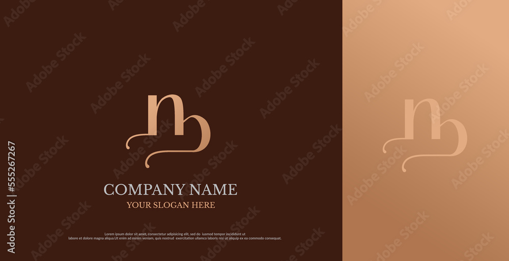 Initial NB Logo Design Vector Stock Vector | Adobe Stock