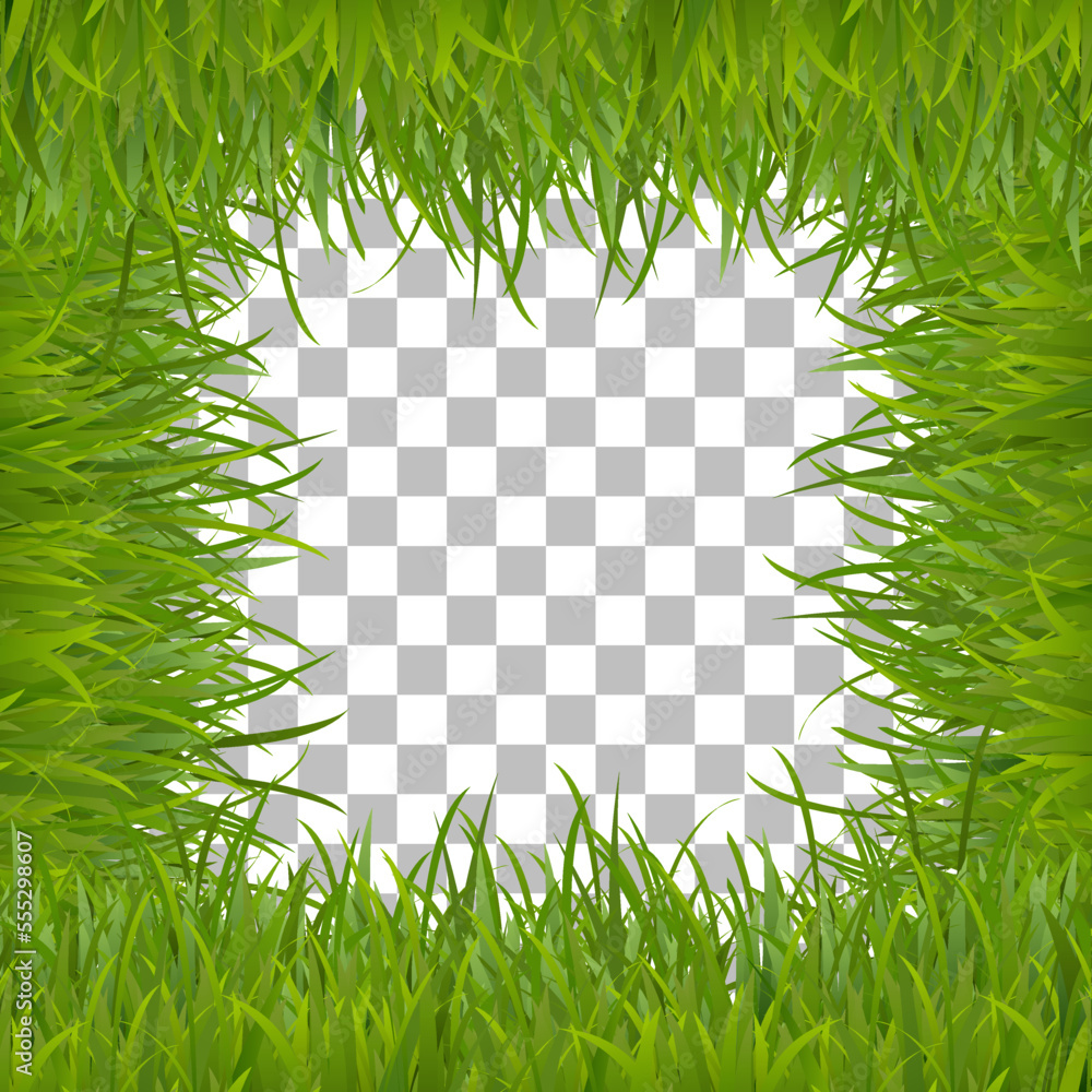 Square grass frame border on transparent Stock Vector | Adobe Stock