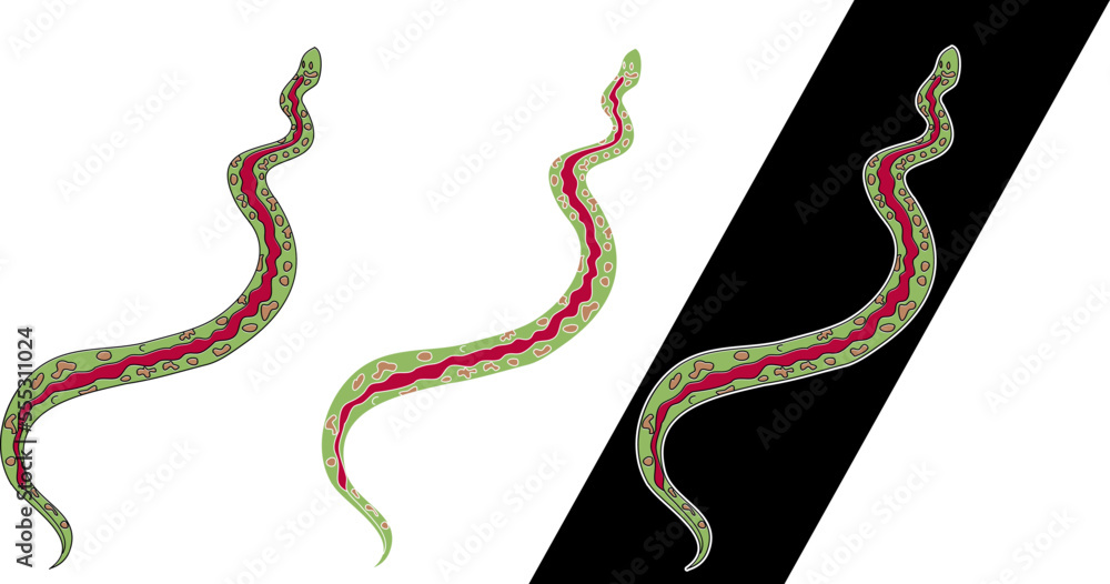 Hand drawn snake vector Illustration isolate on white background.Milk ...
