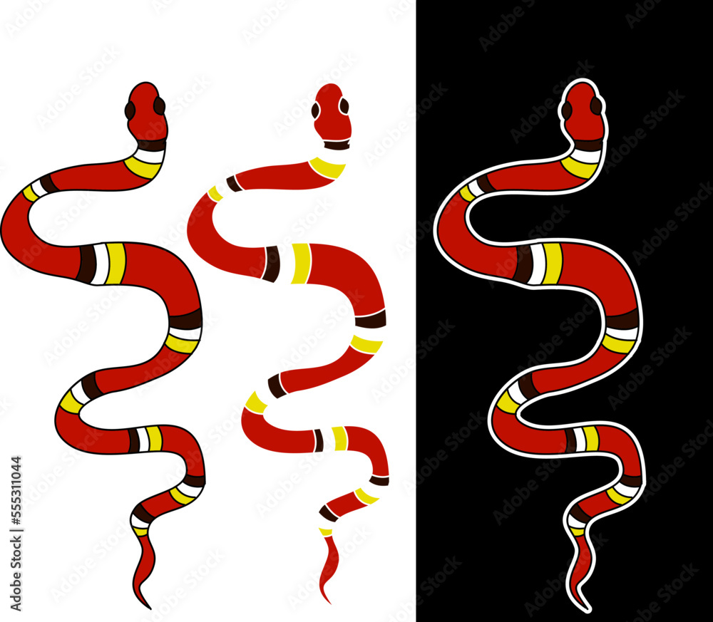 Hand drawn snake vector Illustration isolate on white background.Milk snake vector.Red snake ...