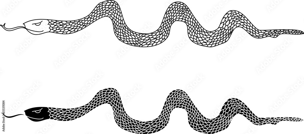 Hand drawn snake vector Illustration isolate on white background.Milk ...