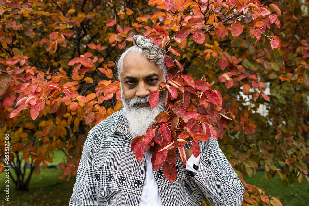 man with gray hair and beard wearing suit in next to fall foliage Stock ...