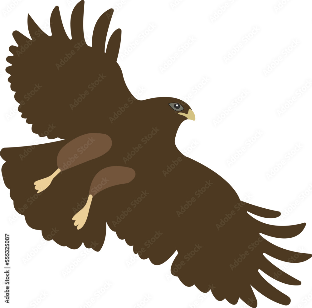Cartoon falcon bird. Wild bird. Vector illustration. Stock Vector ...