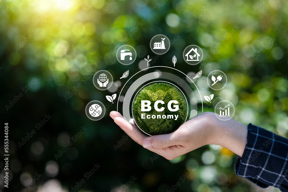 Global BCG icon concept with teamwork. Bio-economy, circle economy, green economy. BCG icon on a ...