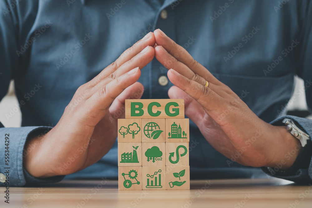 Businessman Hand Holding Wooden Cube Block With Bcg Icon Businessman