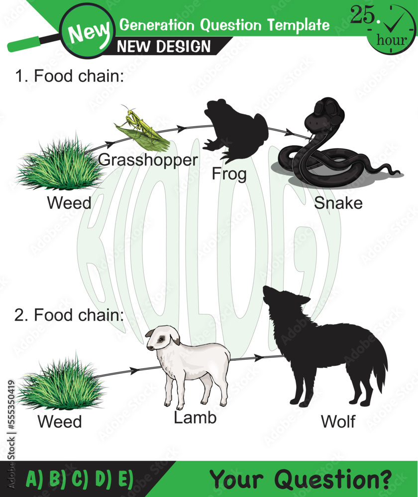 Physics, Vector Illustration of food chain - energy pyramid ...