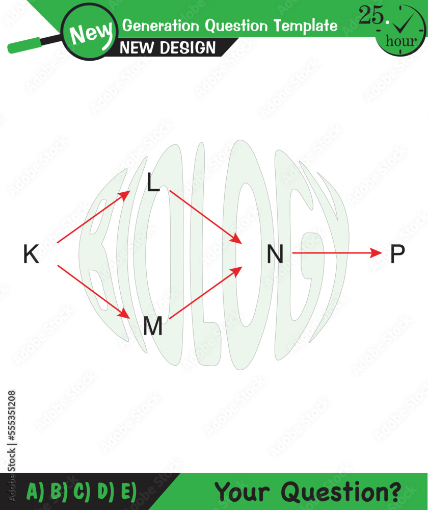Physics, Vector Illustration of food chain - energy pyramid ...