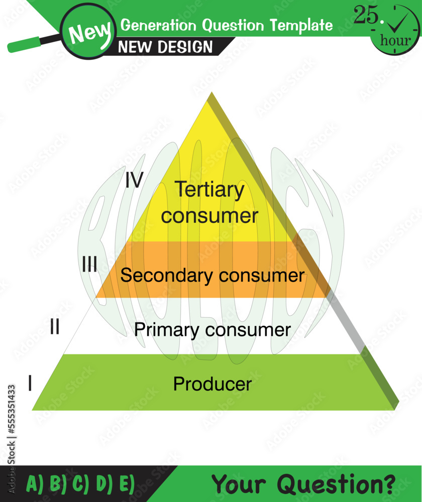 Physics, Vector Illustration of food chain - energy pyramid ...
