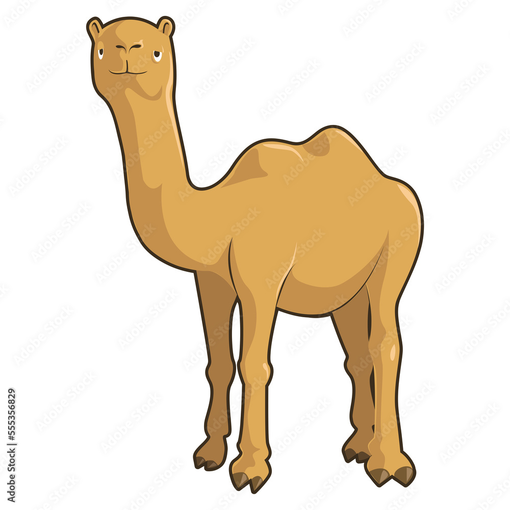 Camel Cartoon Illustration PNG Transparent Stock Illustration | Adobe Stock