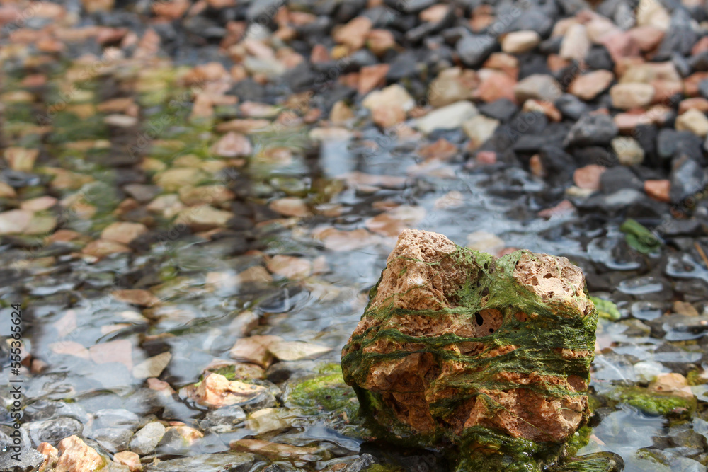 A Rare Photo Of An Old Rock Covered With Moss In A River With Pure ...