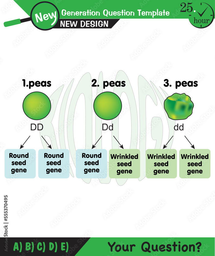 Biology, Heredity Combination, Mendelian genetics, heredity, Peas ...