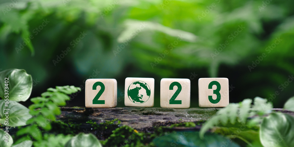 2023 New Year concept on the wood cube block for Sustainable ...