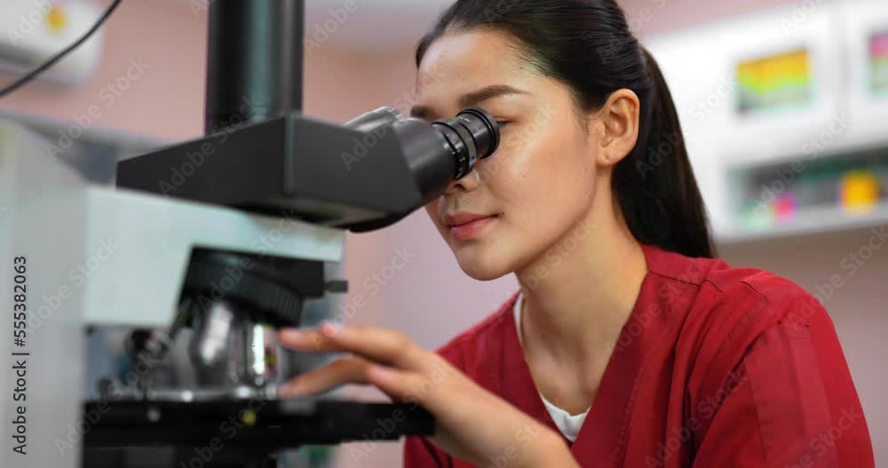 Close up shot, Asian young veterinarian female wearing uniform sitting ...
