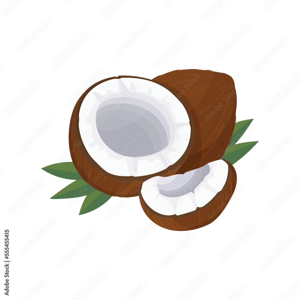 Coconut whole and split in half, and a piece. Cartoon coconut icon ...