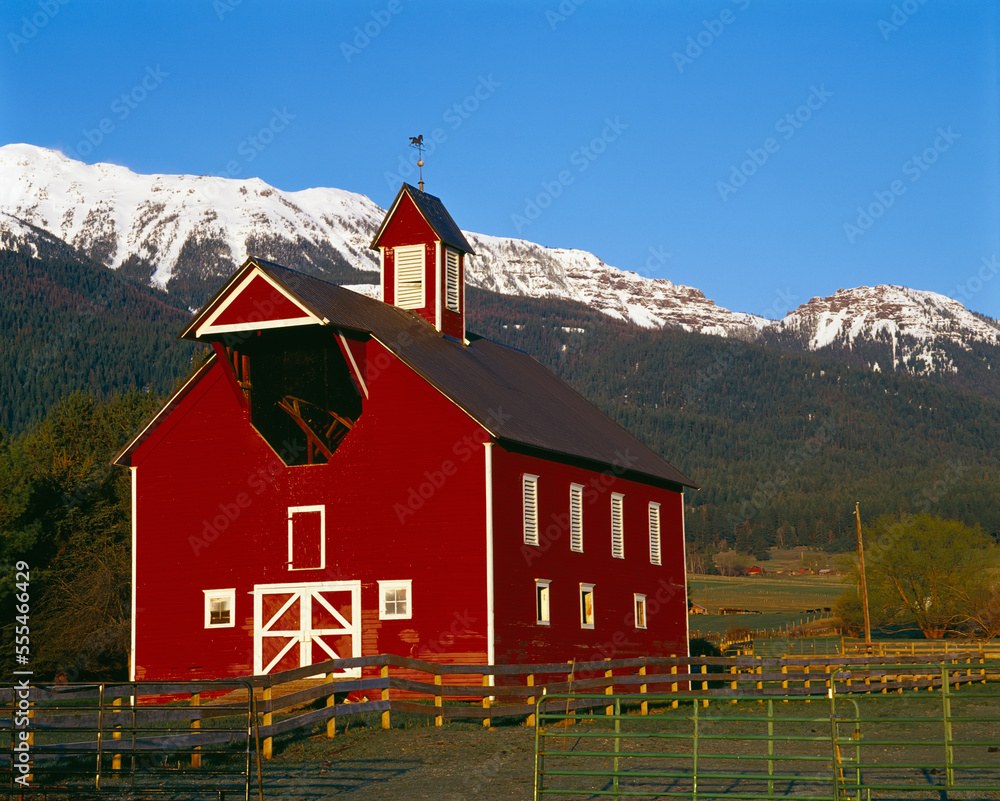 Agriculture - Well preserved red ranch barn with a cupola, circa 1890 ...