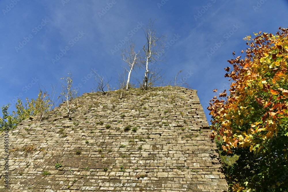 Reste d'une ancienne fortification en ruine couverte par endroits de ...