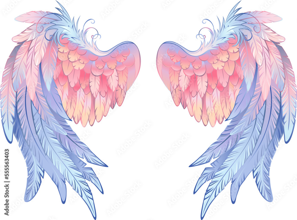 Delicate Angel Wings Stock Illustration | Adobe Stock