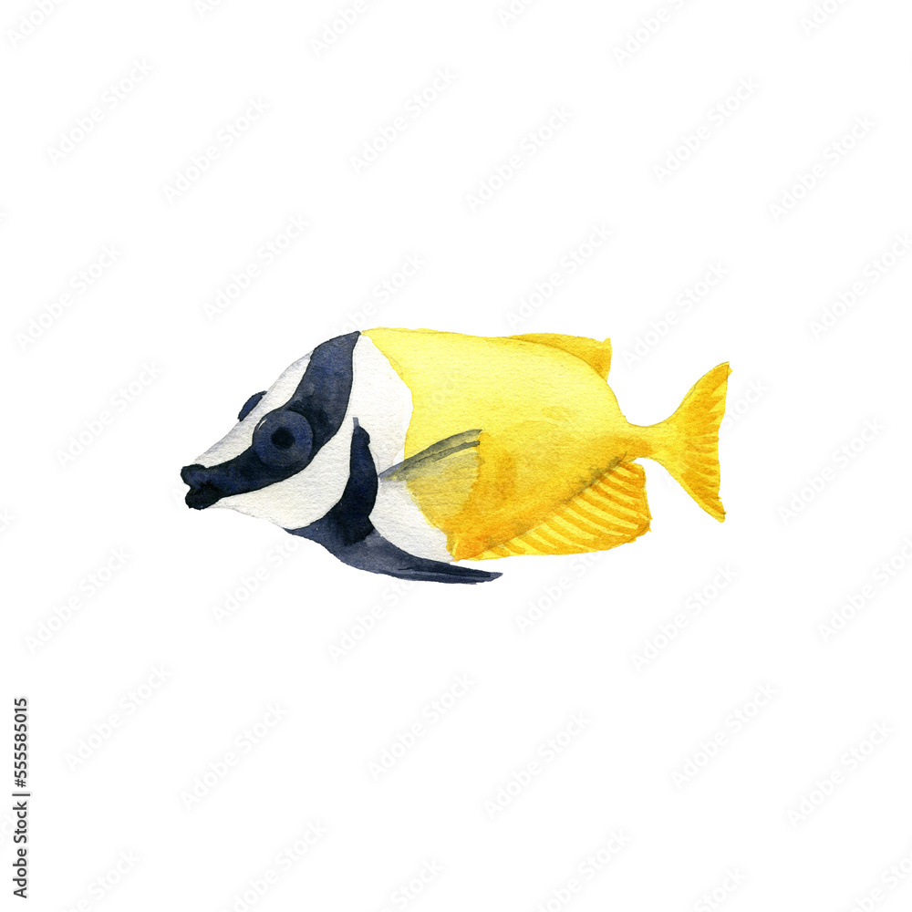 ภาพประกอบสต็อก drawing tropical fish, foxface rabbitfish isolated at ...