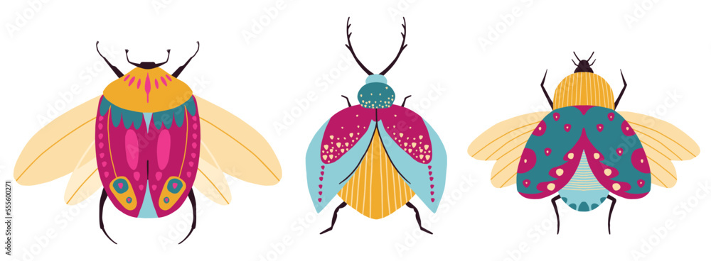Collection of hand drawn bugs. Bug species and exotic beetles icons ...