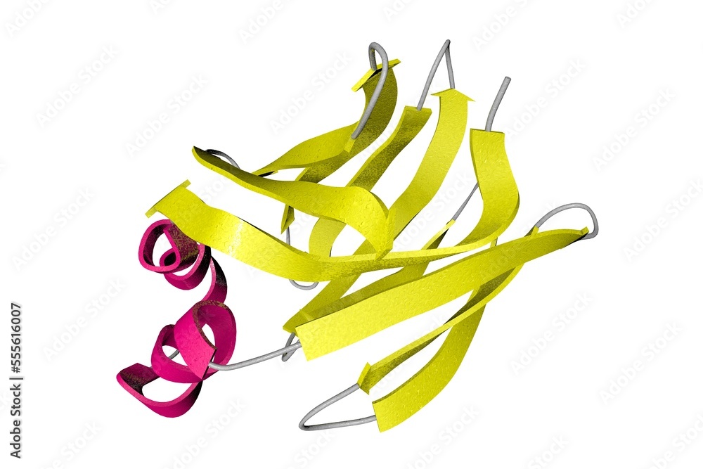 ภาพประกอบสต็อก Solution structure of human intestinal fatty acid ...