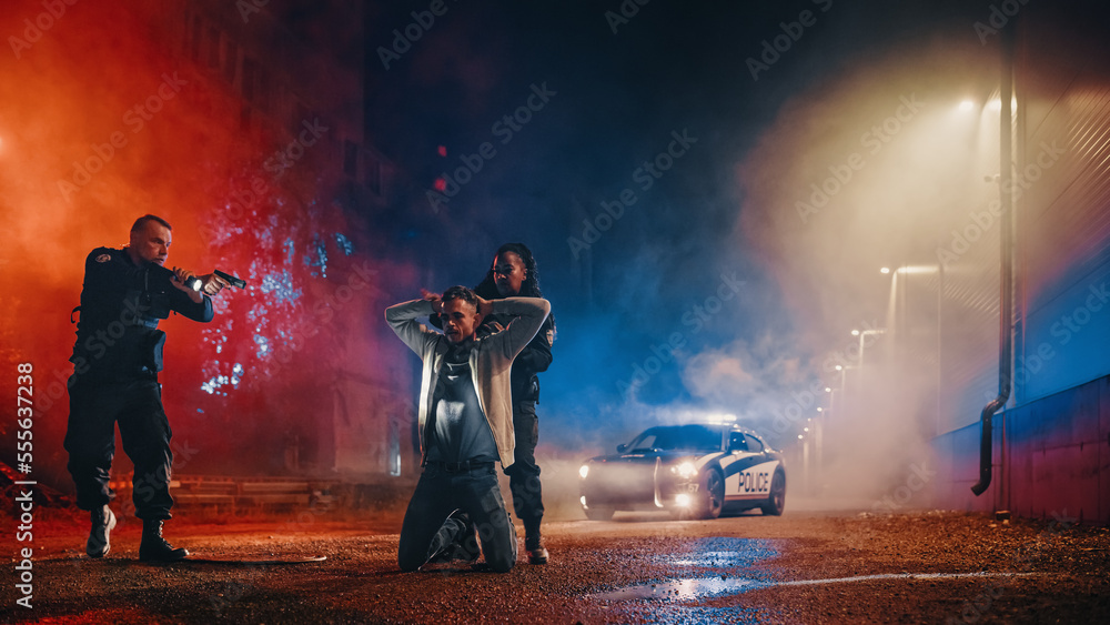 Professional Police Officer Aim at a Suspect While Black Female Deputy ...