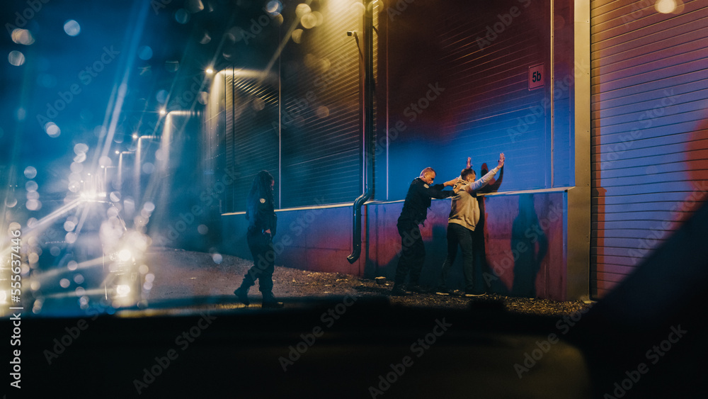 Two Police Officers Arrest Suspect, Search and Frisk Him for Weapons ...