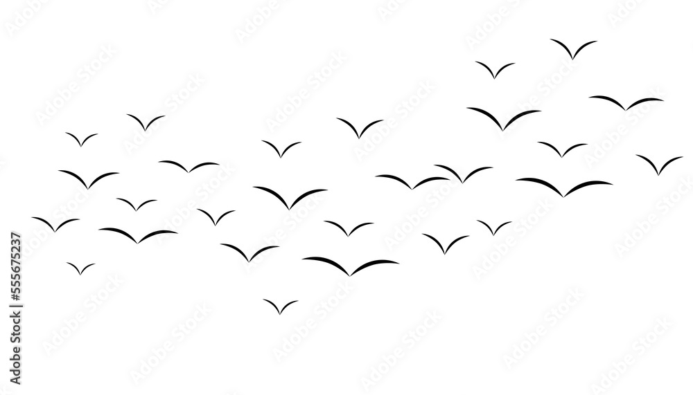 Group of birds fly over the sky png illustration useful for your ...
