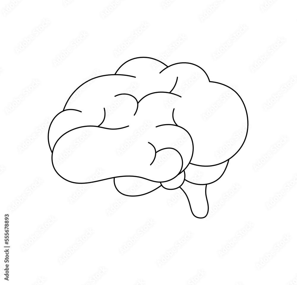 Vector isolated small simple minimal human brain with convolutions ...