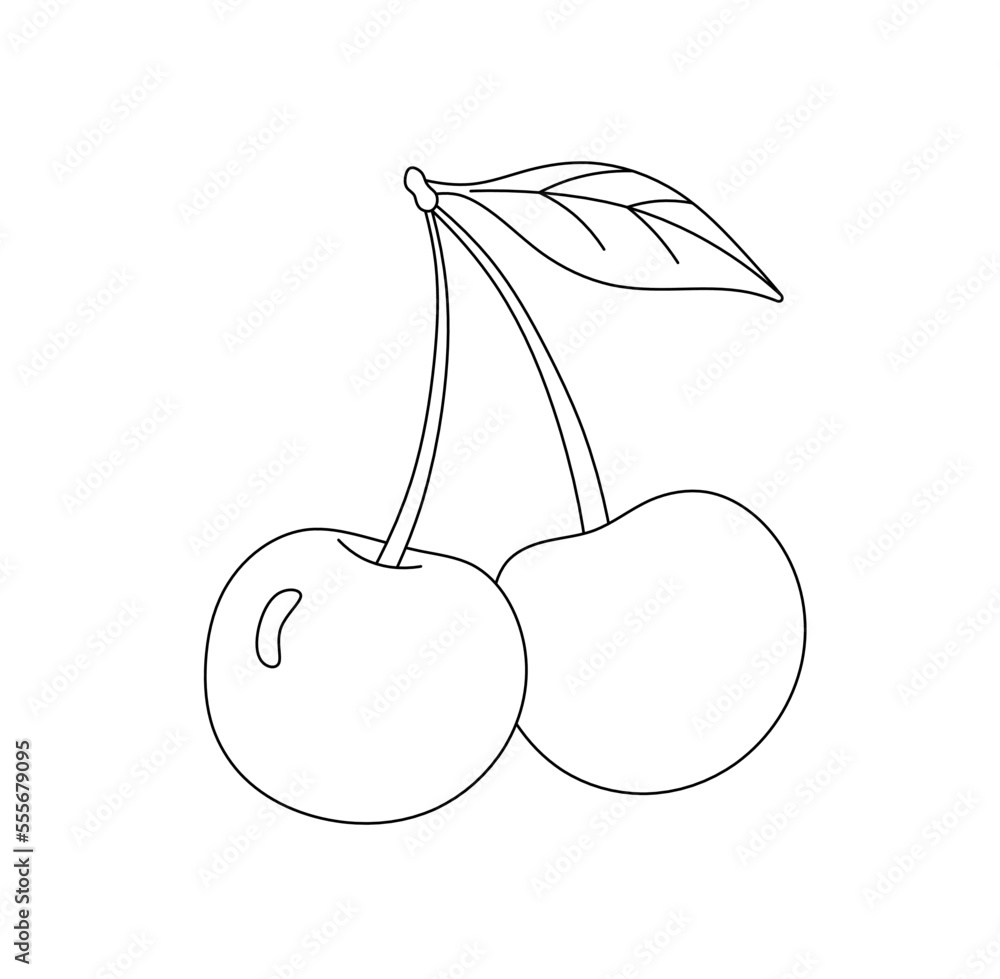Vector isolated simple minimal two cherry berries on sticks with leaf ...