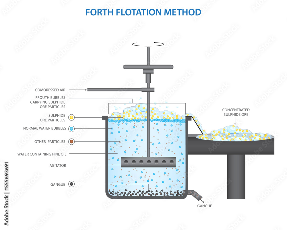 Froth Flotation Process