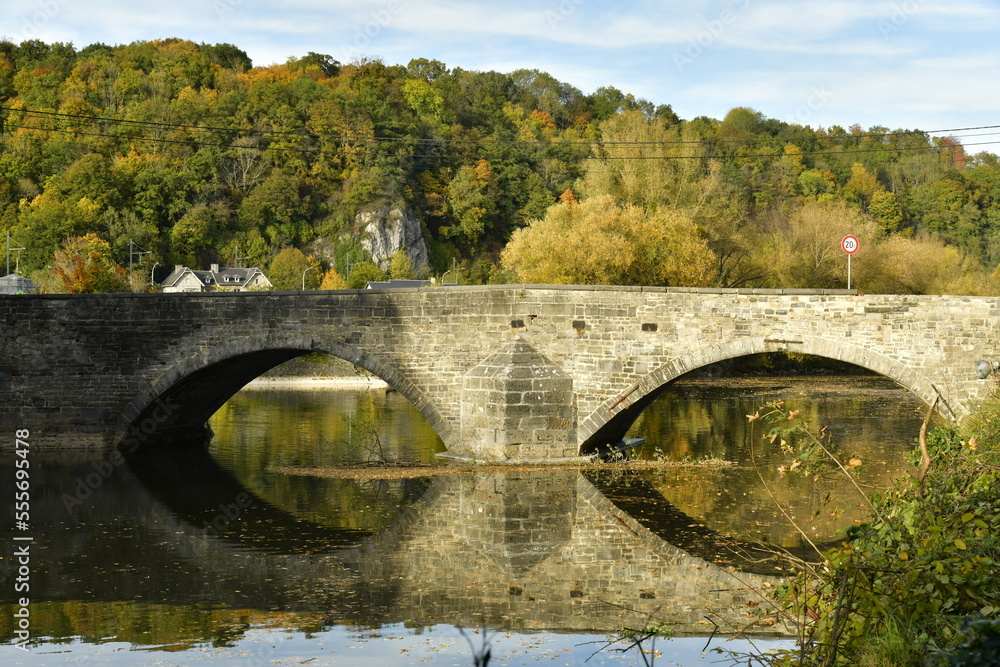 Le pont rustique en pierres calcaires à l'affluent de la Lesse se ...