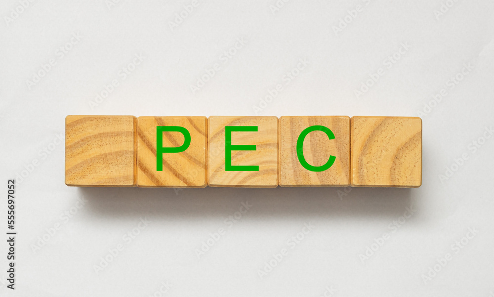 Foto de As iniciais PEC com letras verdes em cubos de madeira em língua ...