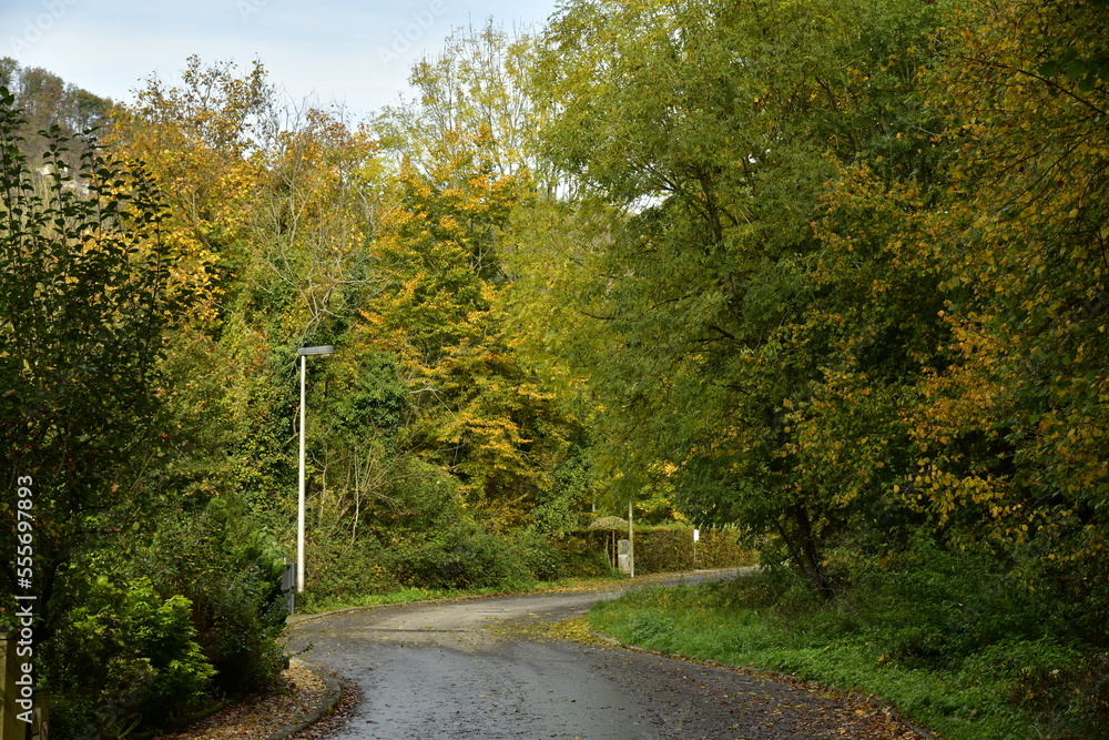 Chemin traversant une zone boisée au pied des rocher de Freyr entre ...