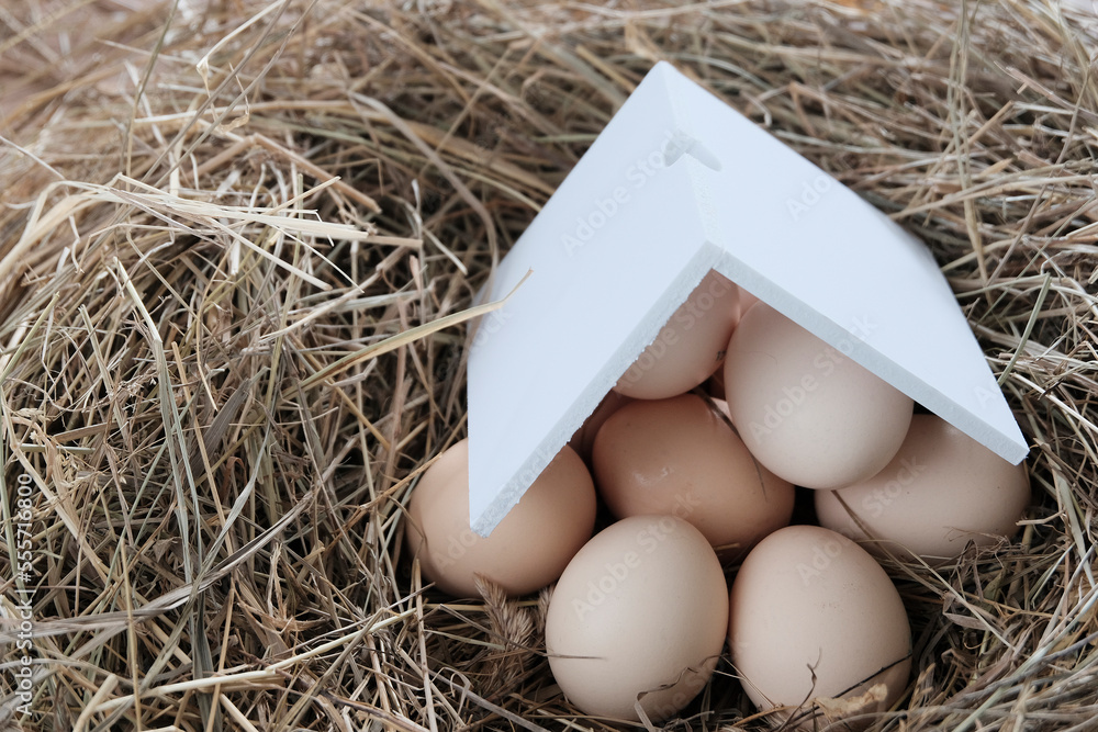 Eggs and a toy house under a white roof in straw. Sunny background ...