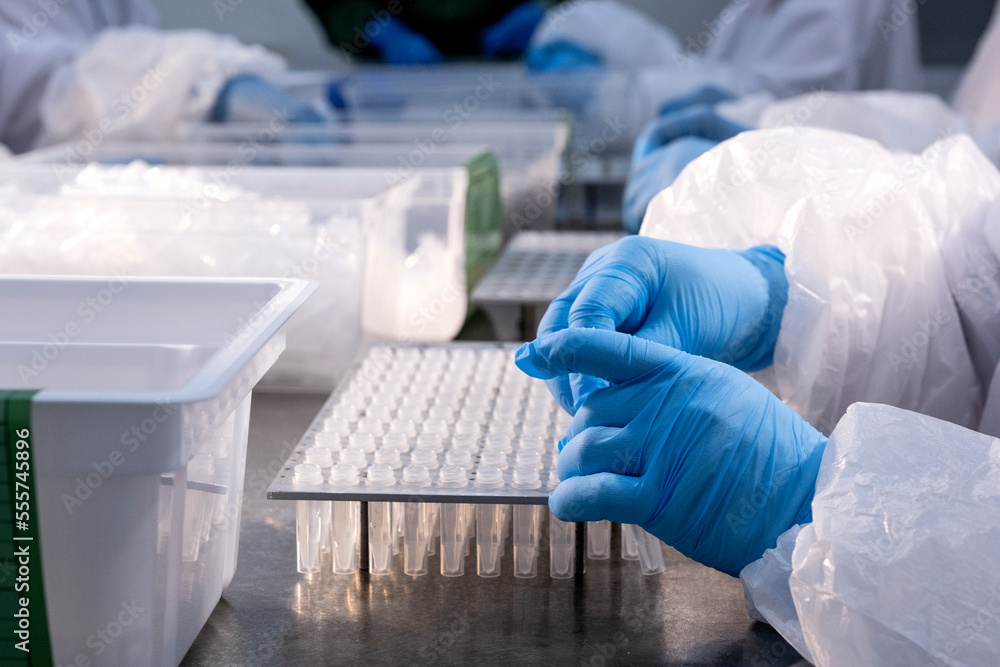 Test tubes are getting inserted into a biochemical analyzer by a lab ...