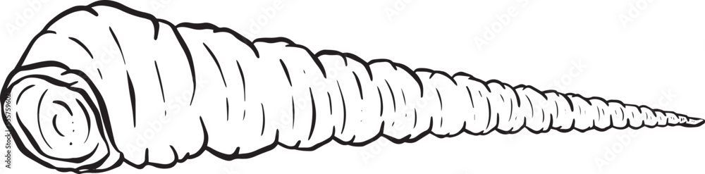 Conch Sea Snail Shell Outline Cartoon Style Logo Design in Vector Stock ...