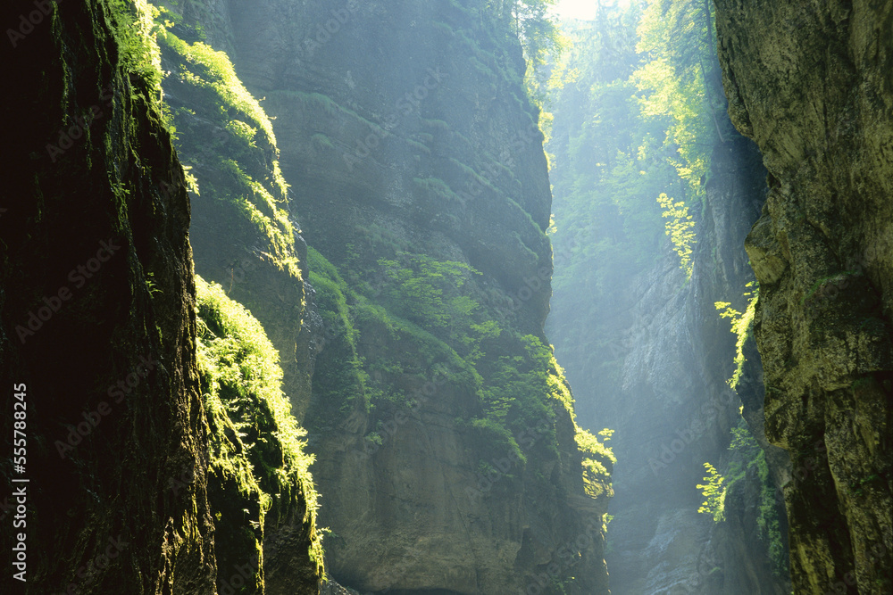 Gorge Stock Photo | Adobe Stock