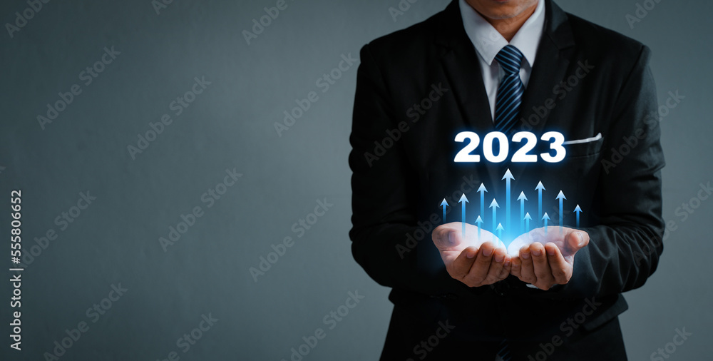 Goals, plans and vision for the new year 2023. Businessman drawing ...