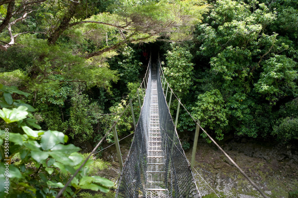Rope Bridge, Tasman National Park, Pohara, South Island, New Zealand ...