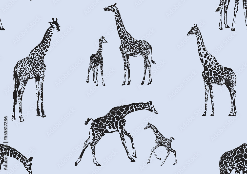 Seamless pattern, background with adult giraffe and baby giraffe ...