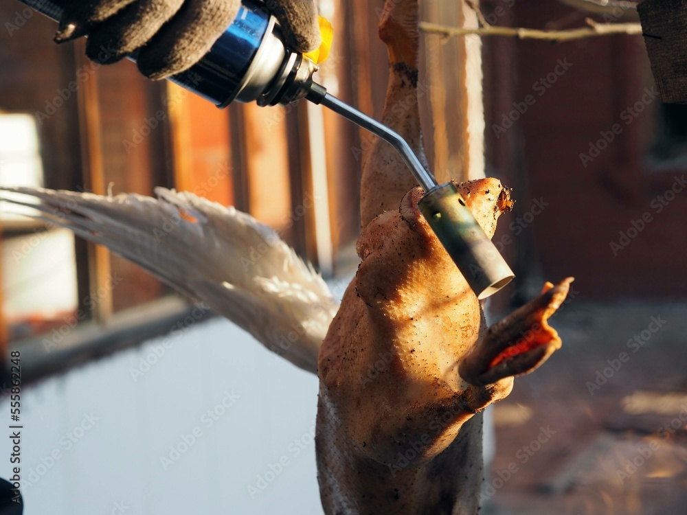 The process of processing, singeing the goose with fire after removing ...