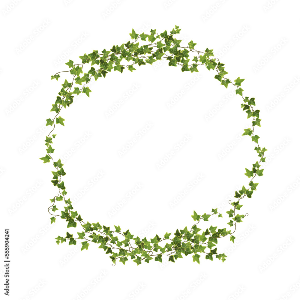 Ivy plant branch in a circle shape cartoon vector illustration ...