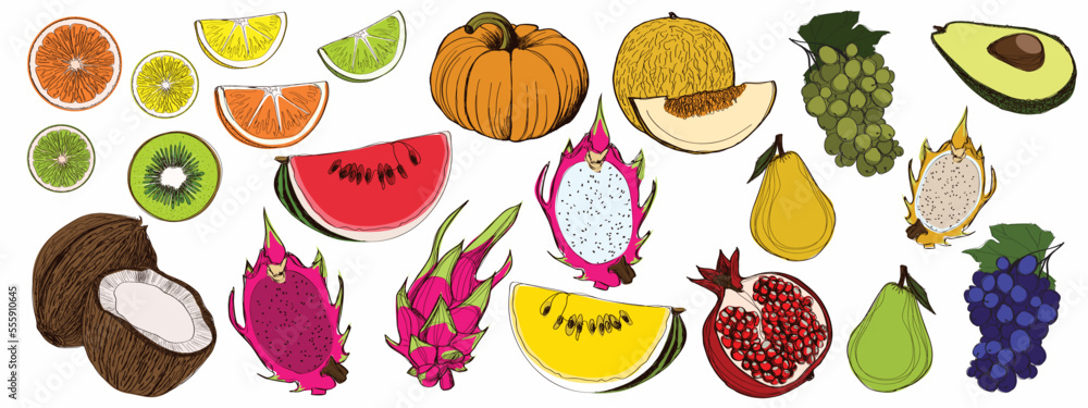 Set of graphic colored fruits in vector Stock Vector | Adobe Stock