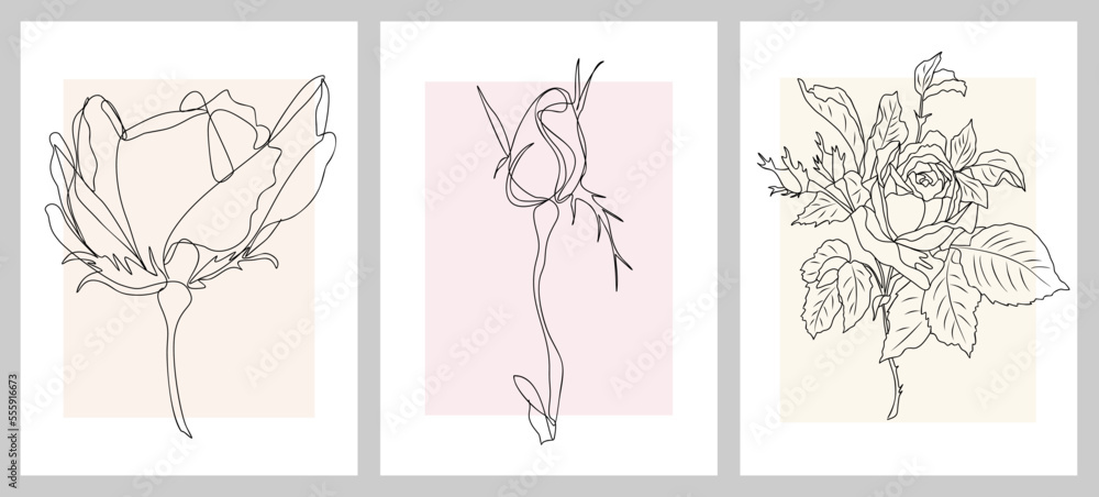 Abstract Rose flower posters set. Trendy botanical wall art, line ...