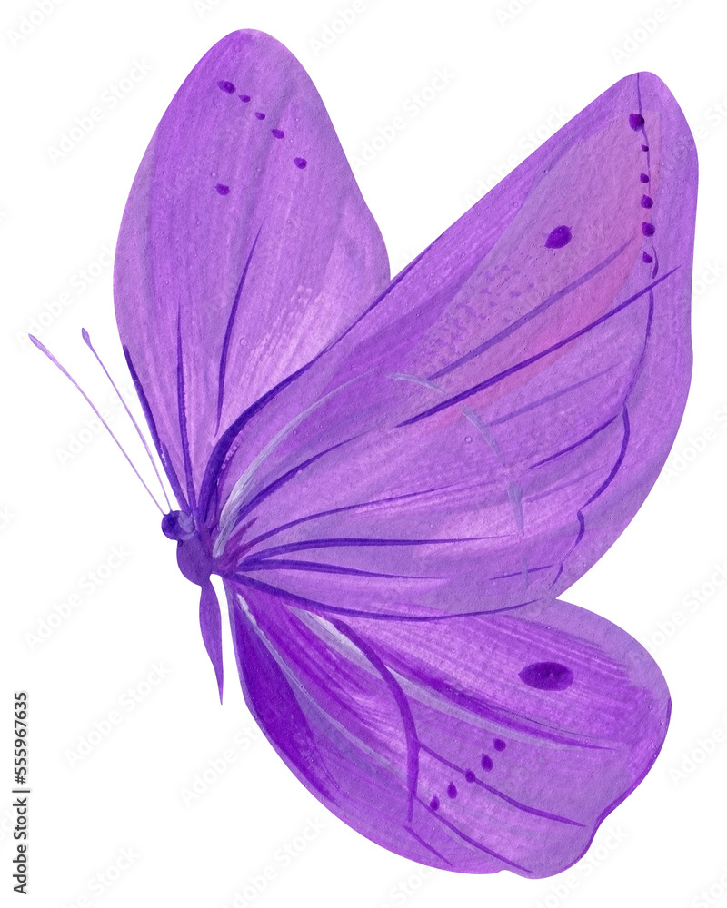 Purple Butterfly Drawing Poster Purple Butterfly Flying – Wall Art