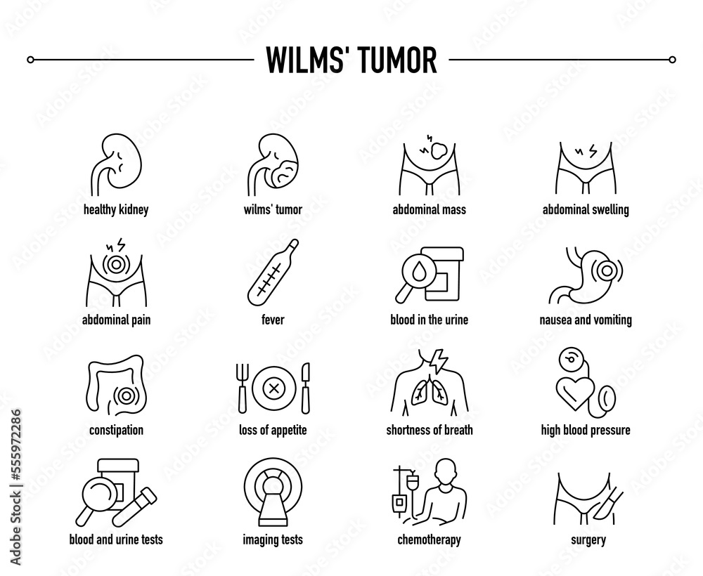 Wilms' Tumor symptoms, diagnostic and treatment vector icon set. Line ...