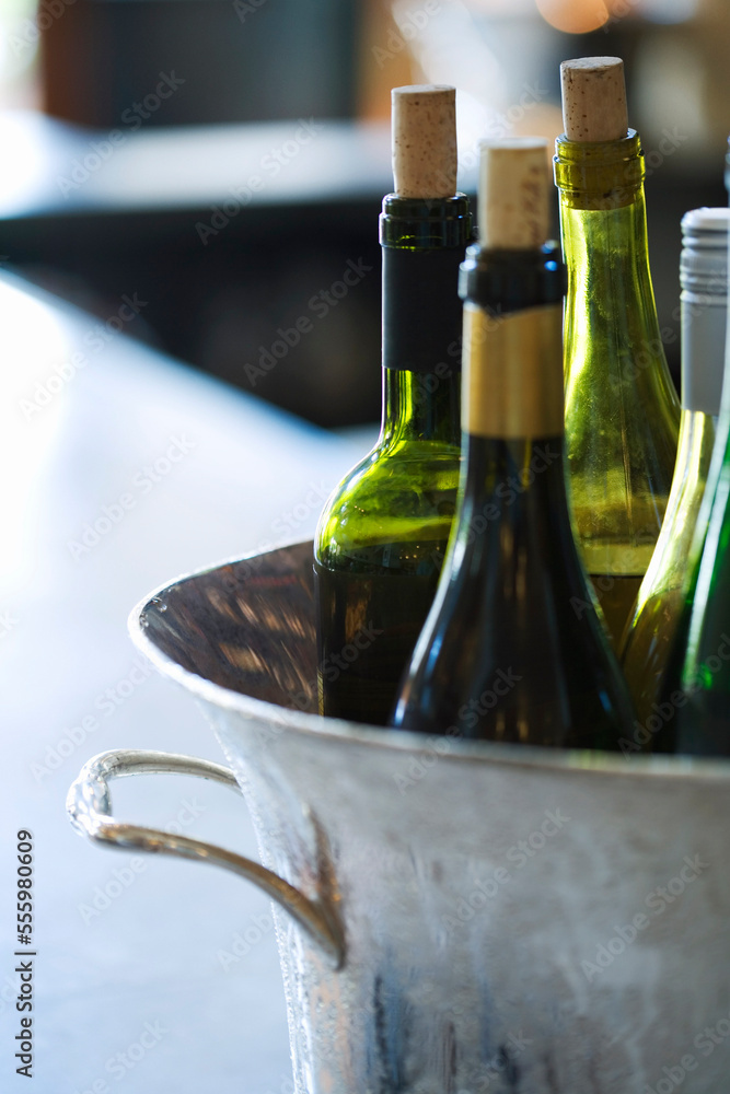 Wine Bottles in Ice Bucket Stock Photo | Adobe Stock