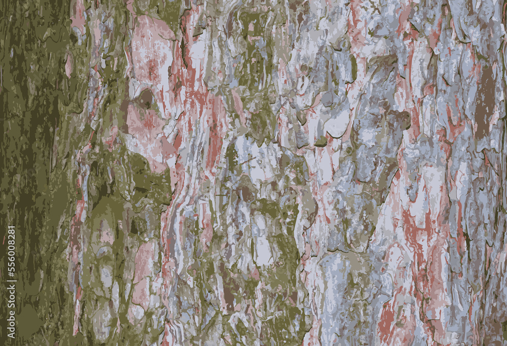 Realistic illustration of a pine bark close-up. Texture of Pinus ...