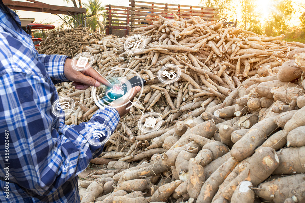 Innovation technology for smart farm system, Agriculture management ...