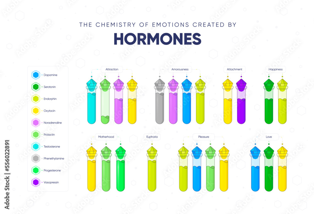 The chemistry of emotions created by hormones. Dependence of the state ...